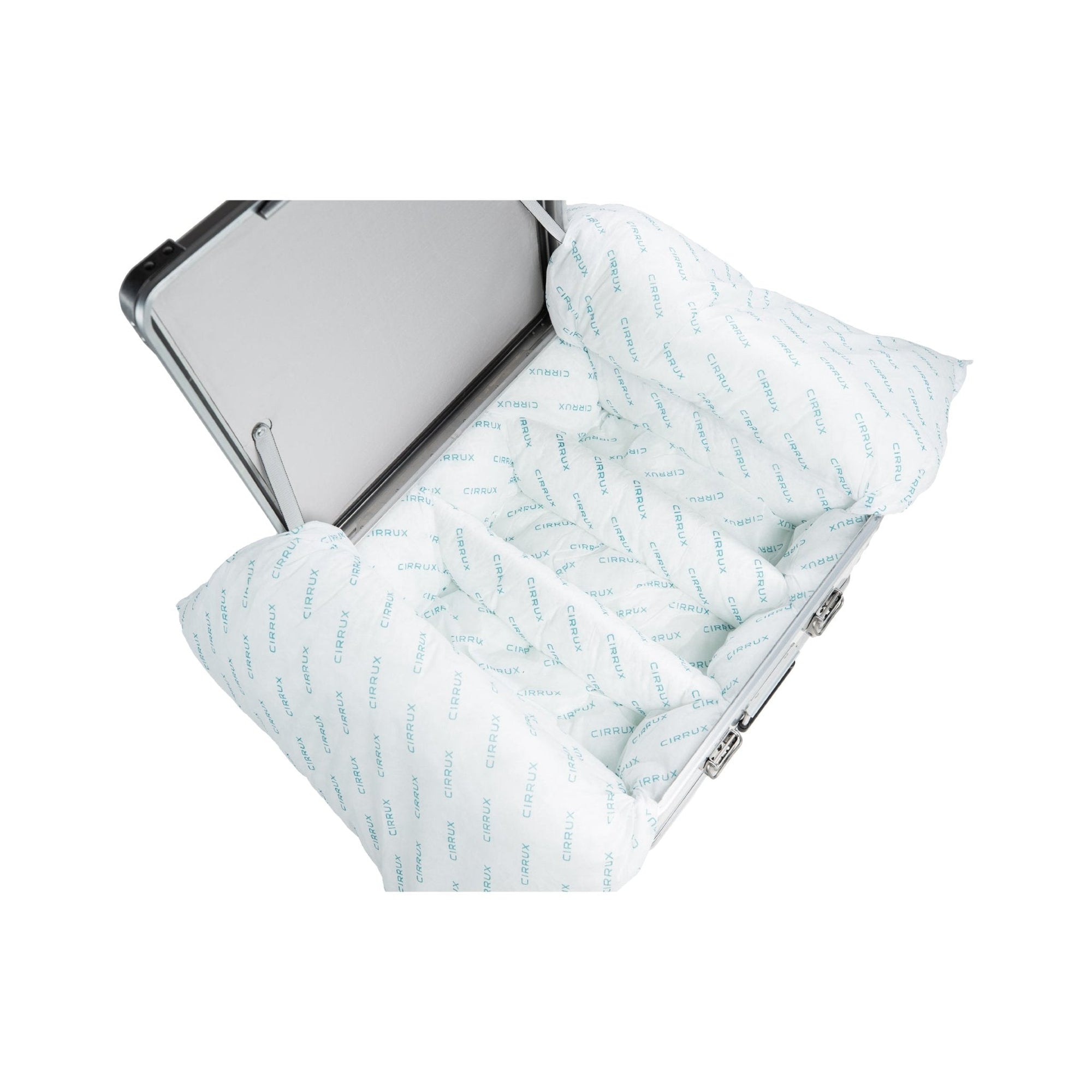 BatterySafe™ Lithium Ion Battery Case | ZARGES USA – Zarges USA